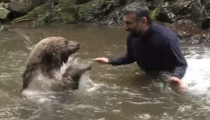 Come here, my boy. The small explorer and the friendly wild bear share ...